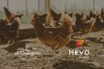 Hevo Group adquiere El Granjero y refuerza su liderazgo en el sector avícola español – Hevo Group